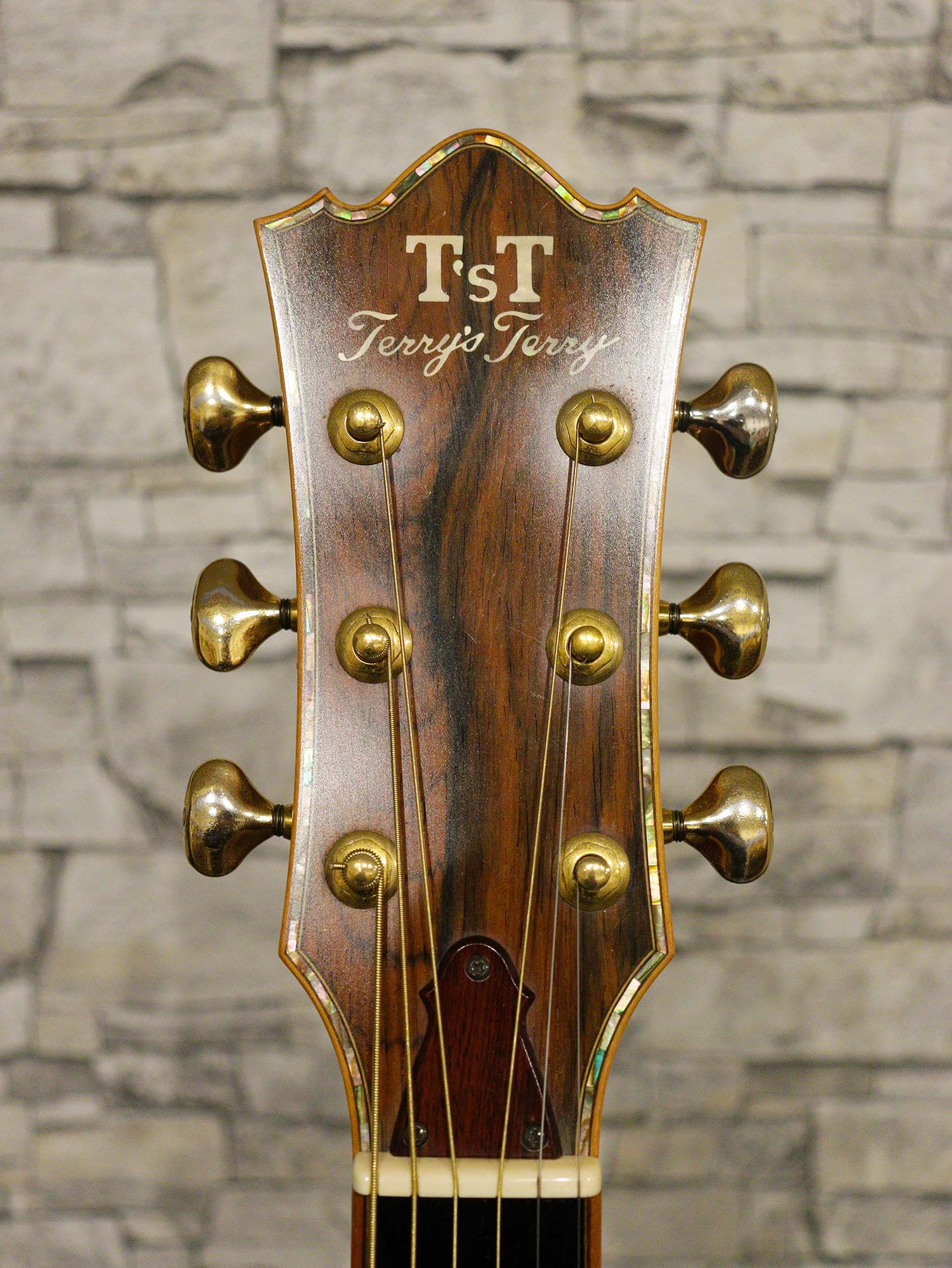 Terry's Terry TJ-100 1995